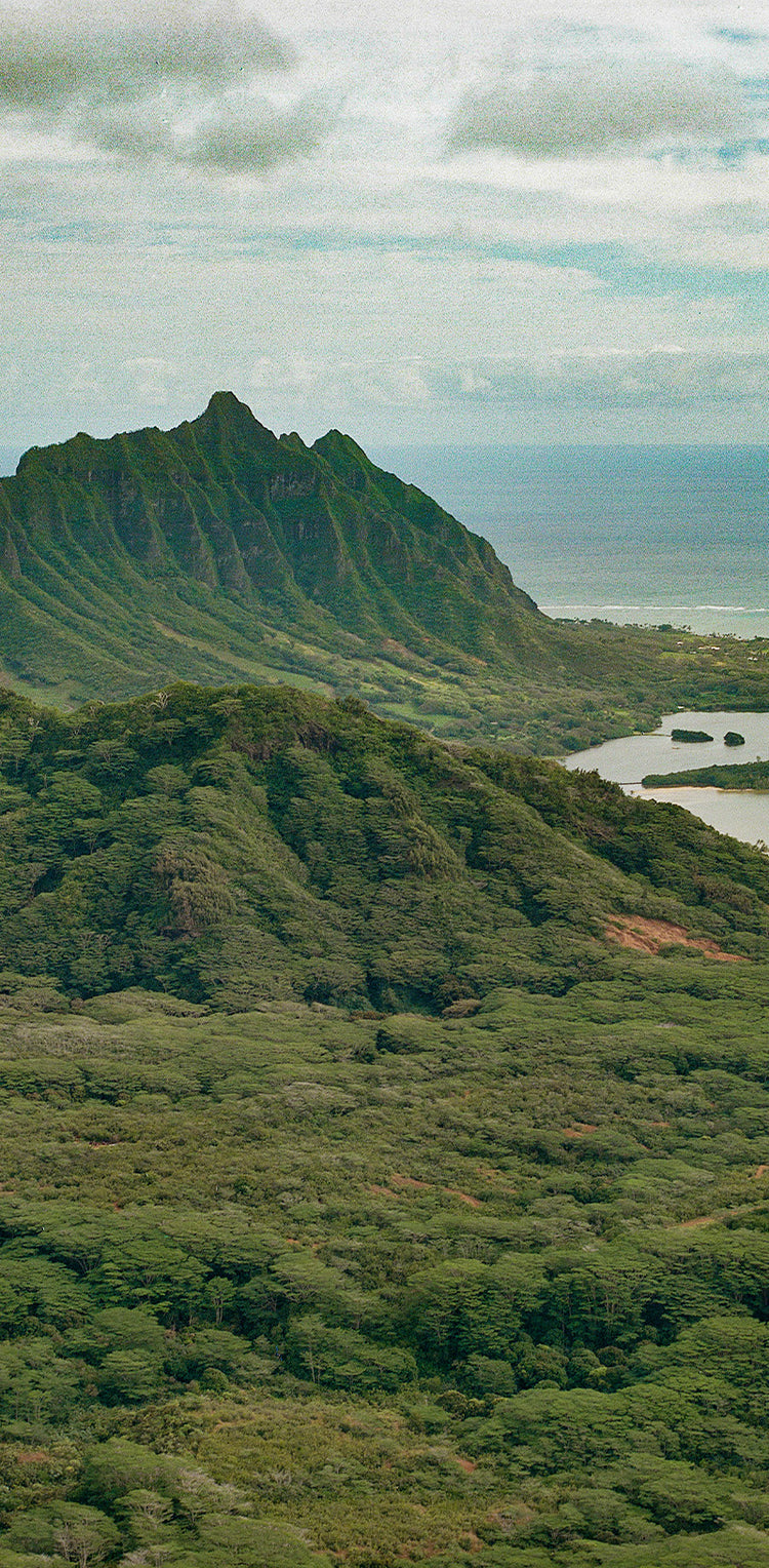 Loulu Hawaiʻi – Loulu Hawai'i