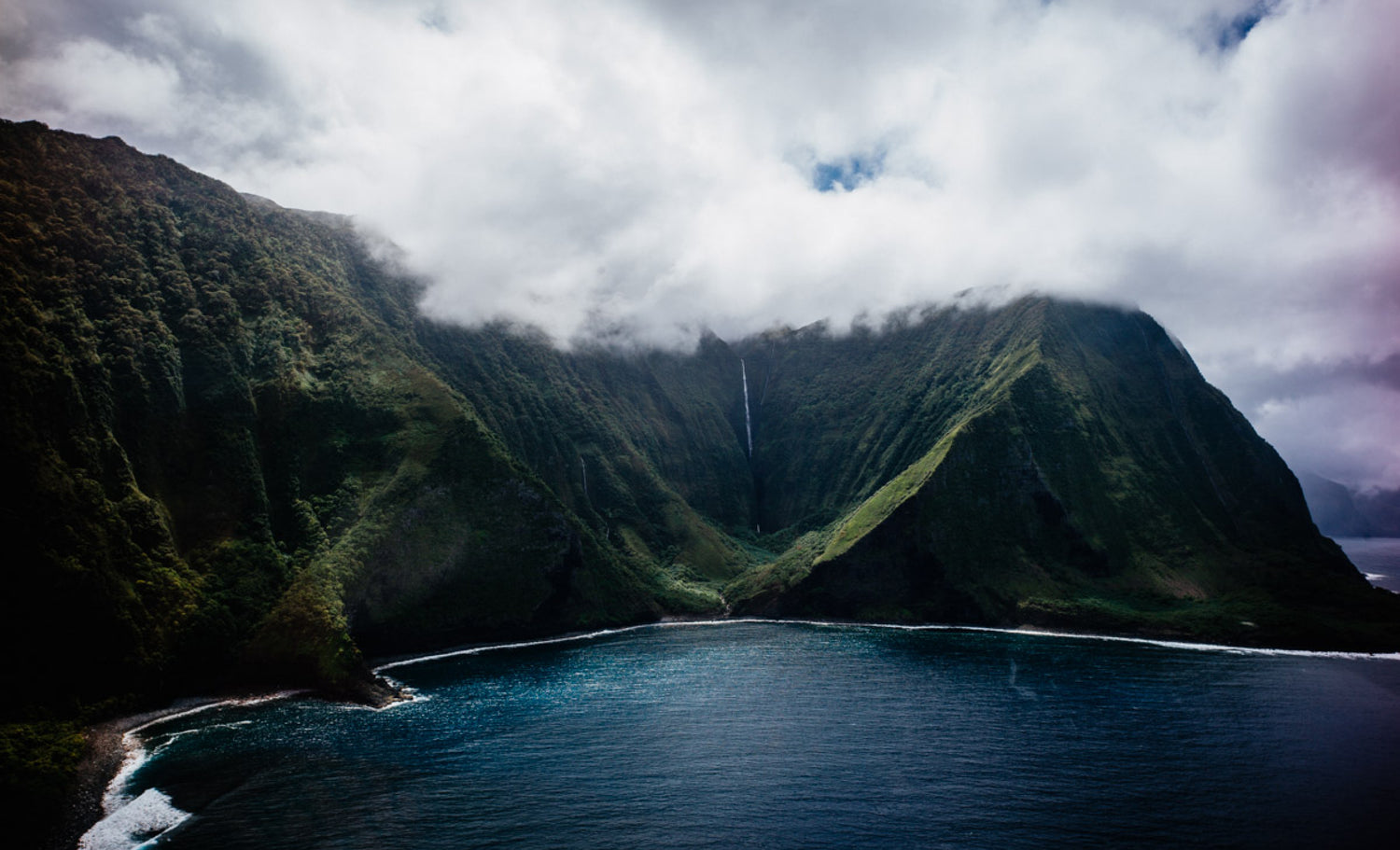 Our Origins – Loulu Hawai'i
