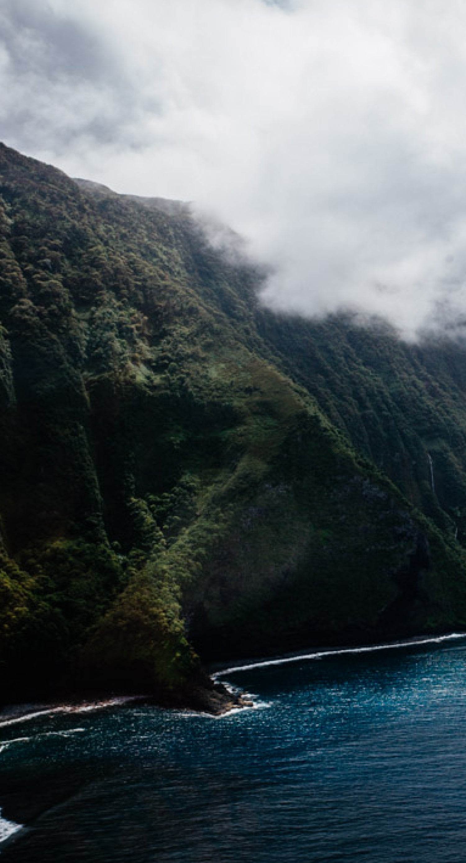 Our Origins – Loulu Hawai'i